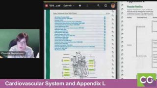 Cardiovascular System and Appendix L to codes 36200-36299