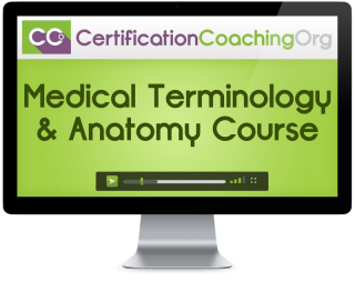 Medical Terminology & Anatomy for Medical Coders Course