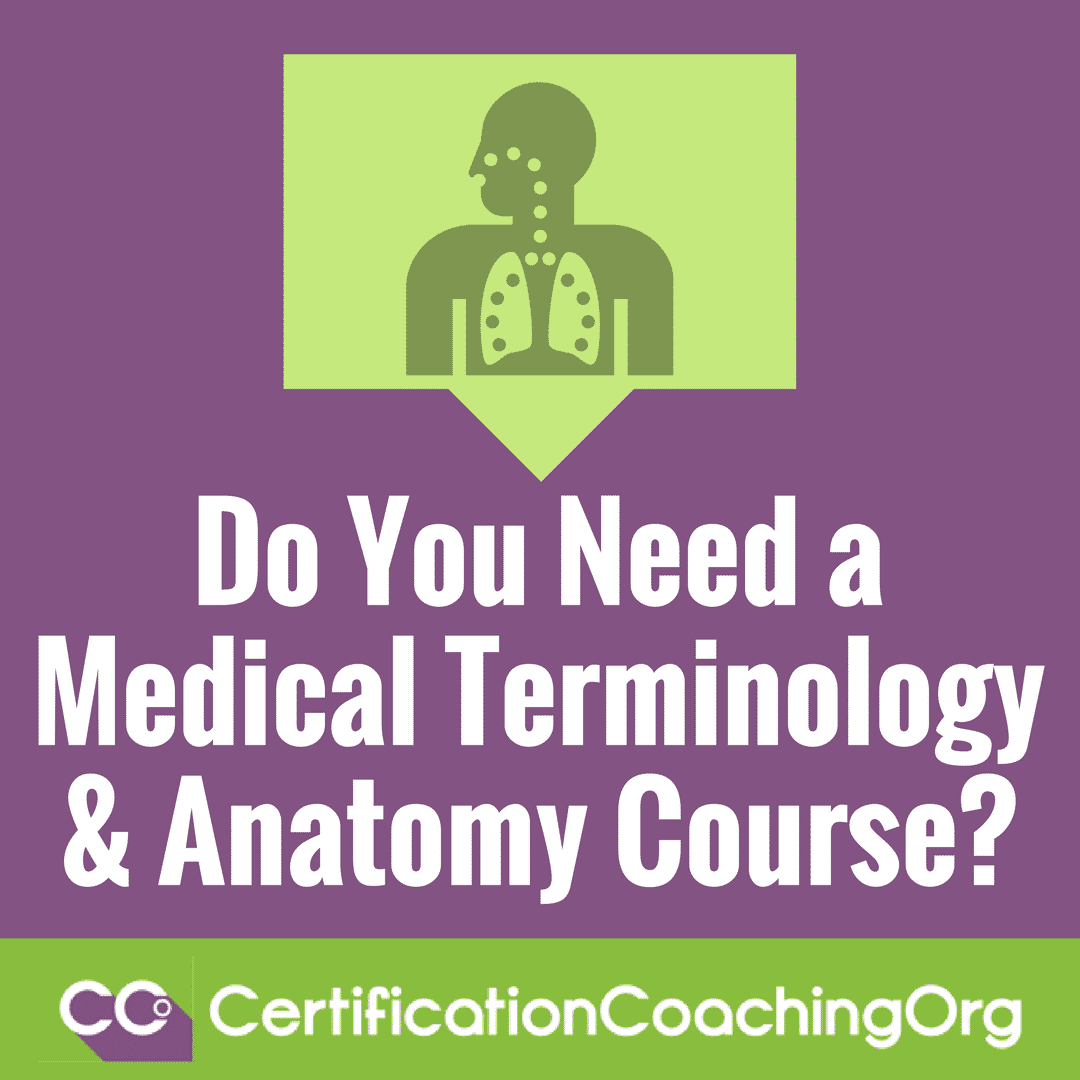 Medical Coding: Do You Need a Medical Terminology and Anatomy Course?