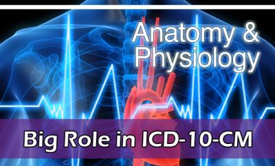 How Anatomy and Physiology Plays a Big Role in ICD 10 CM Coding